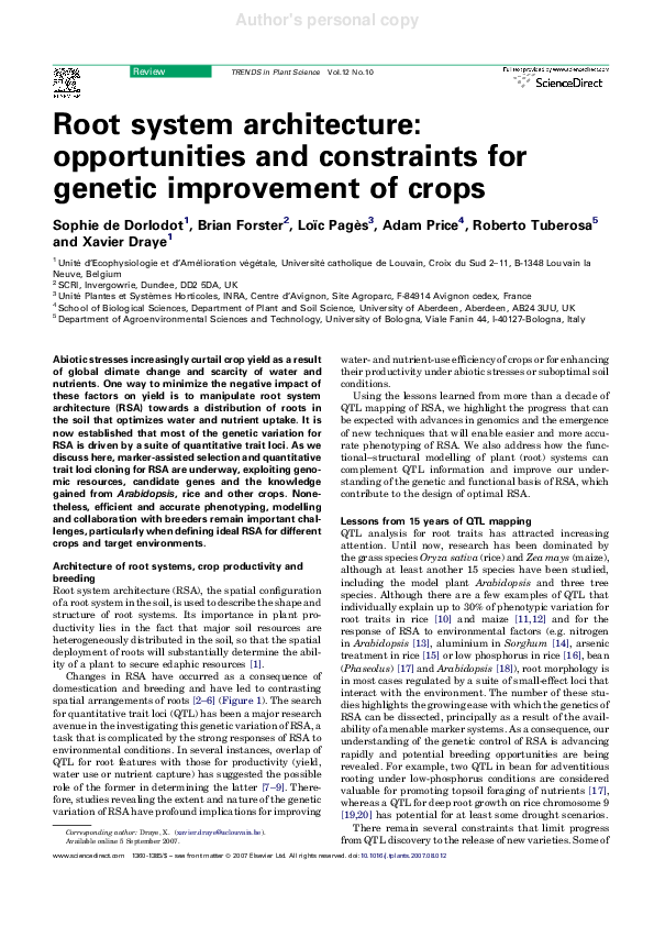 (PDF) Root system architecture: opportunities and constraints for ...