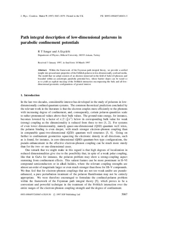 (PDF) Path integral description of low-dimensional polarons in ...