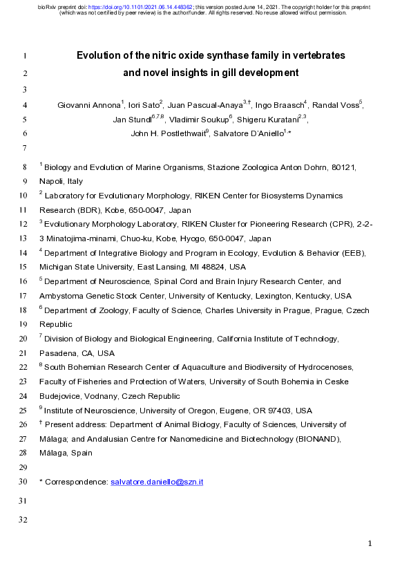 (PDF) Evolution of the nitric oxide synthase family in vertebrates and ...