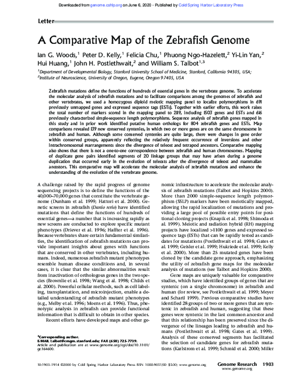 (PDF) A Comparative Map of the Zebrafish Genome