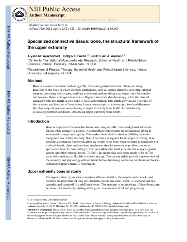 (PDF) Specialized Connective Tissue: Bone, the Structural Framework of ...