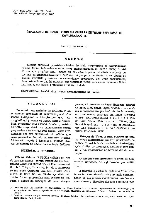 (PDF) Sendai virus replication in primary epithelial cells of mice ...