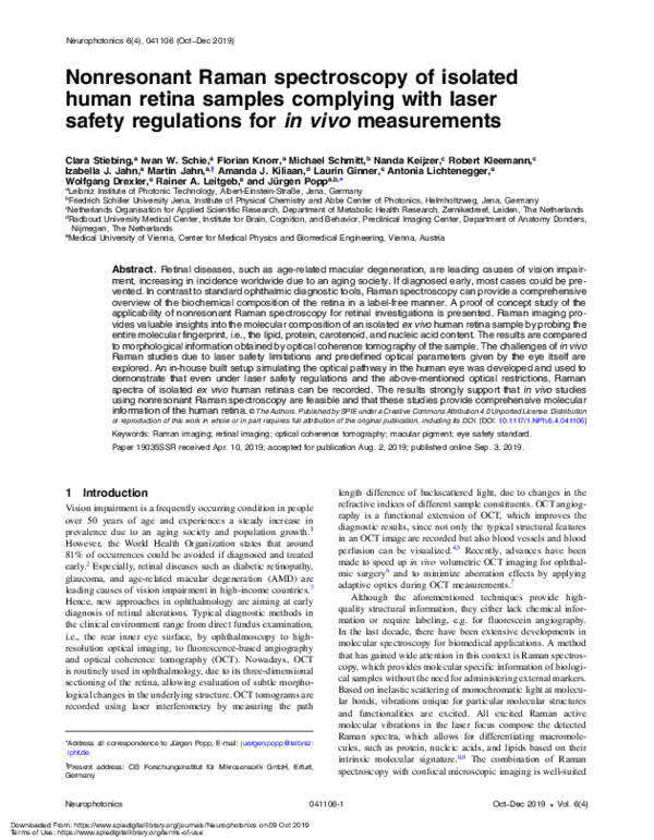 (PDF) Nonresonant Raman spectroscopy of isolated human retina samples ...