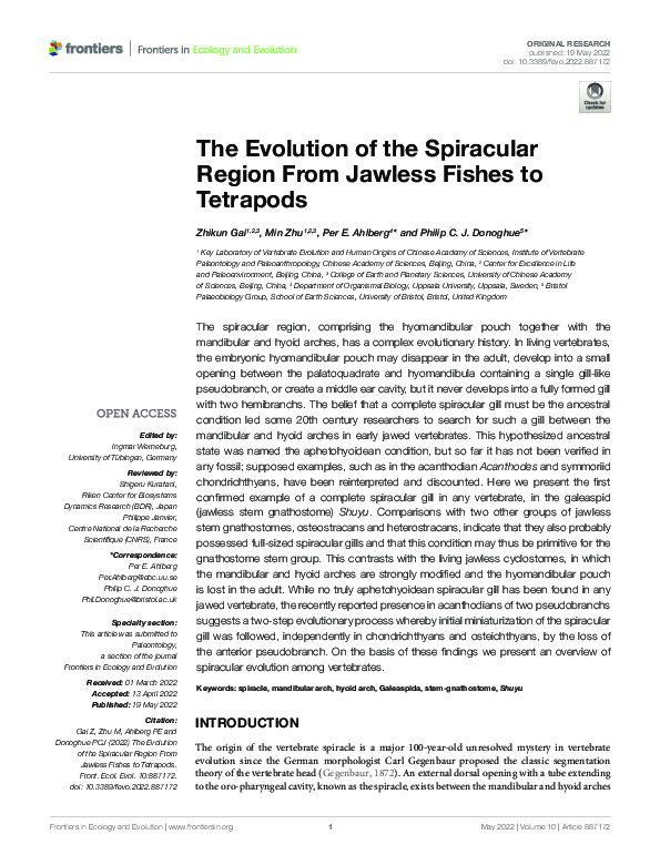 (PDF) The Evolution of the Spiracular Region From Jawless Fishes to ...