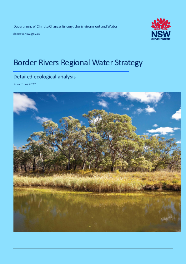 (PDF) Border Rivers Regional Water Strategy. Detailed ecological analysis