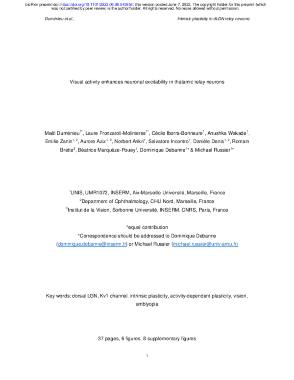 (PDF) Visual activity enhances neuronal excitability in thalamic relay neurons