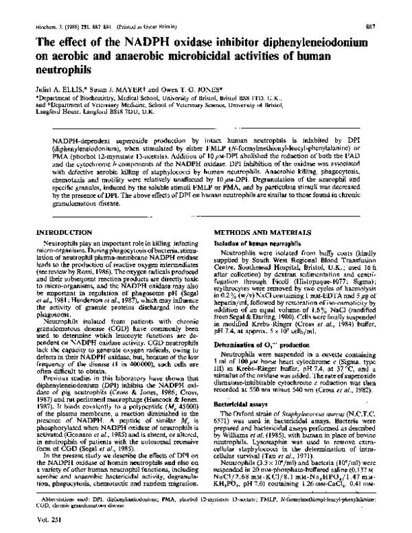 (PDF) The effect of the NADPH oxidase inhibitor diphenyleneiodonium on ...
