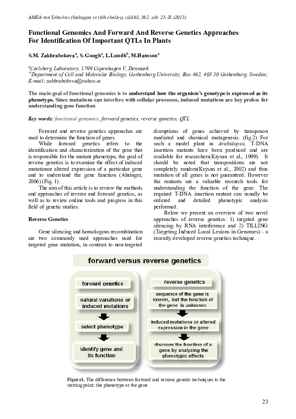 (PDF) Functional Genomics And Forward And Reverse Genetics Approaches ...
