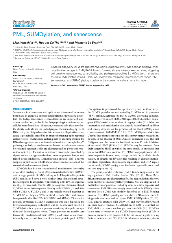 (PDF) PML, SUMOylation, and Senescence