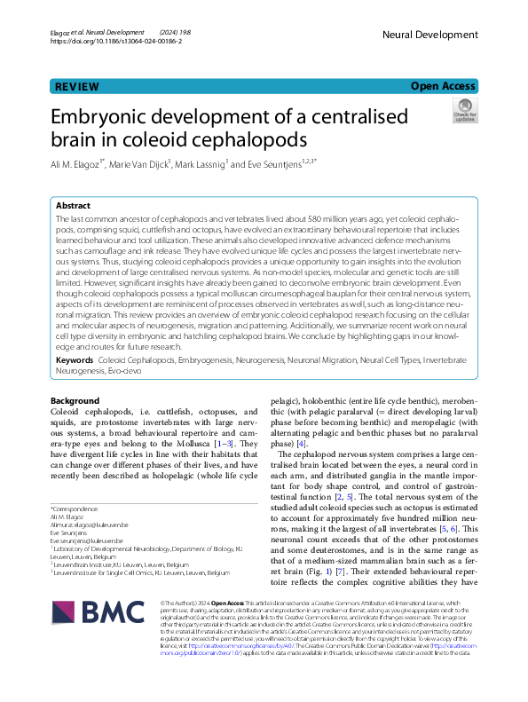 (PDF) Embryonic Brain Development in Coleoid Cephalopods