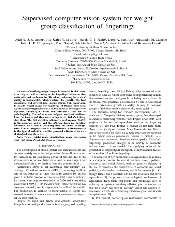 (PDF) Supervised computer vision system for weight group classification of fingerlings | Marcio ...