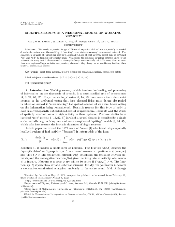(PDF) Multiple Bumps in a Neuronal Model of Working Memory