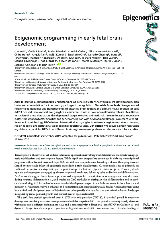 (PDF) Epigenomic programming in early fetal brain development
