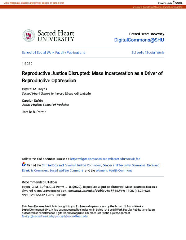 (PDF) Reproductive Justice Disrupted: Mass Incarceration as a Driver of ...