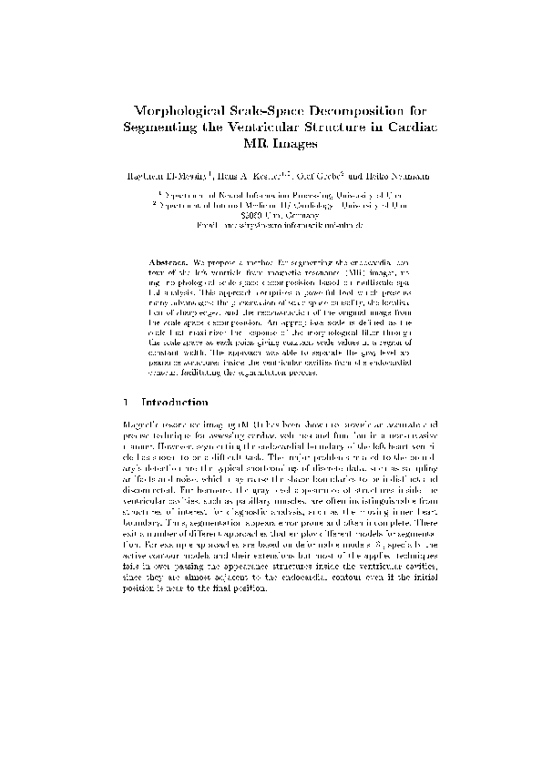 (PDF) Morphological Scale-Space Decomposition for Segmenting the Ventricular Structure in ...