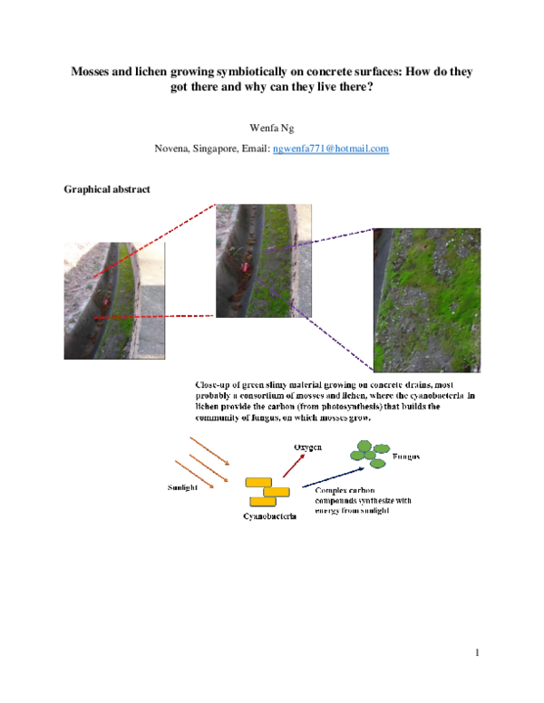 (PDF) Mosses and lichen growing symbiotically on concrete surfaces: How ...