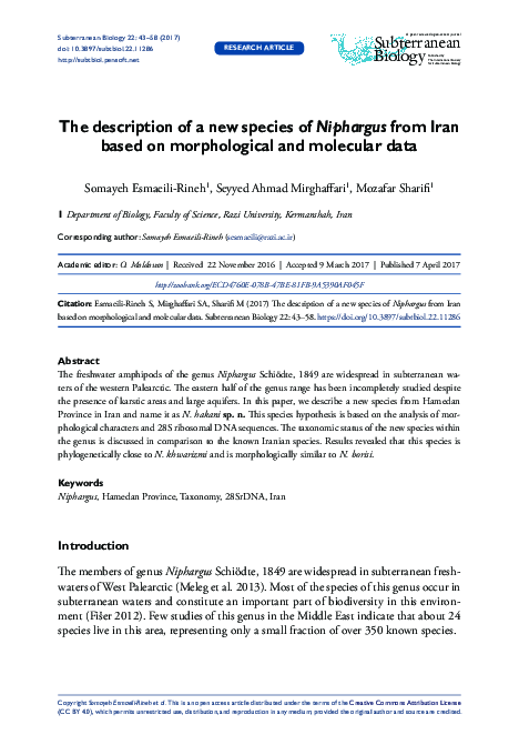 (PDF) The description of a new species of Niphargus from Iran based on ...