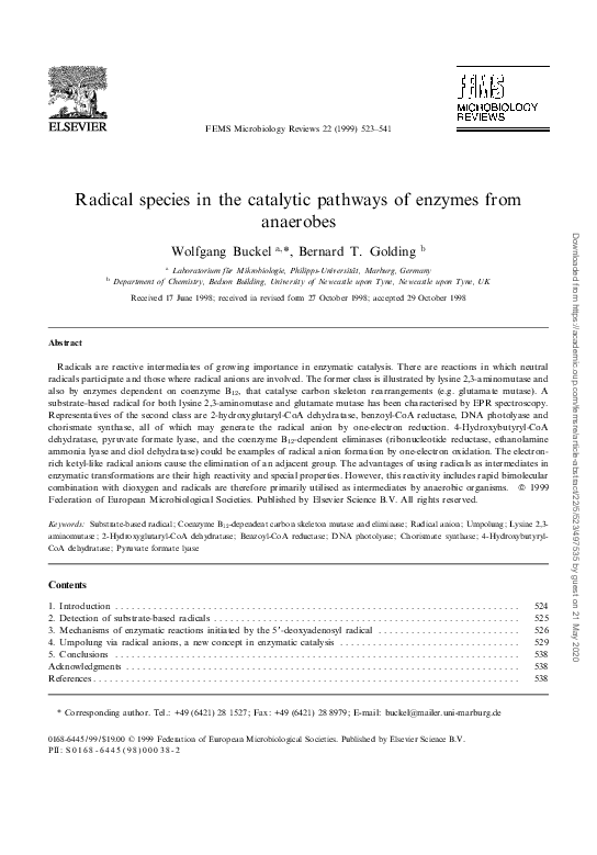 (PDF) Radical species in the catalytic pathways of enzymes from anaerobes