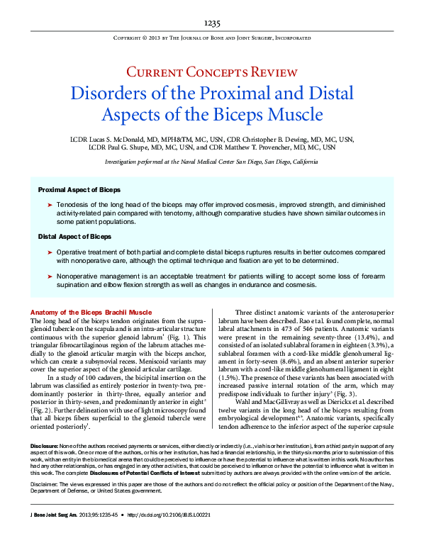 (PDF) Disorders of the Proximal and Distal Aspects of the Biceps Muscle ...