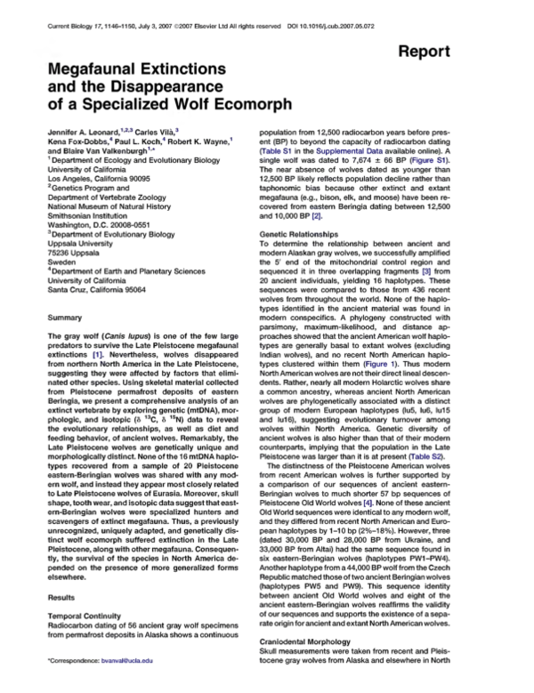(PDF) Megafaunal Extinctions and Specialized Wolf Ecomorphs