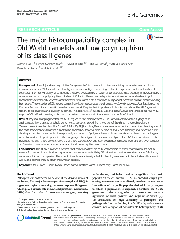 (PDF) The major histocompatibility complex in Old World camelids and ...