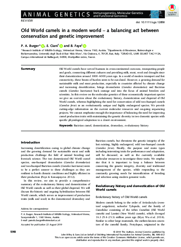 (PDF) Old World camels in a modern world – a balancing act between ...