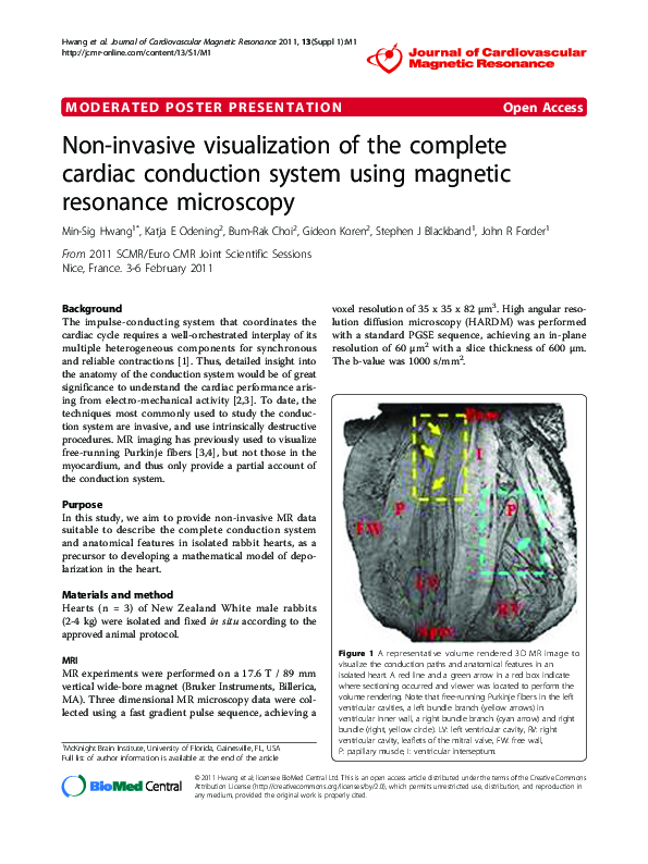(PDF) Non-invasive visualization of the complete cardiac conduction system using magnetic ...