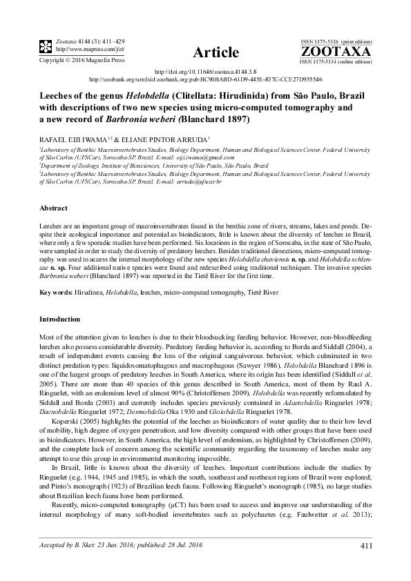 (PDF) Leeches of the genus Helobdella (Clitellata: Hirudinida) from São ...