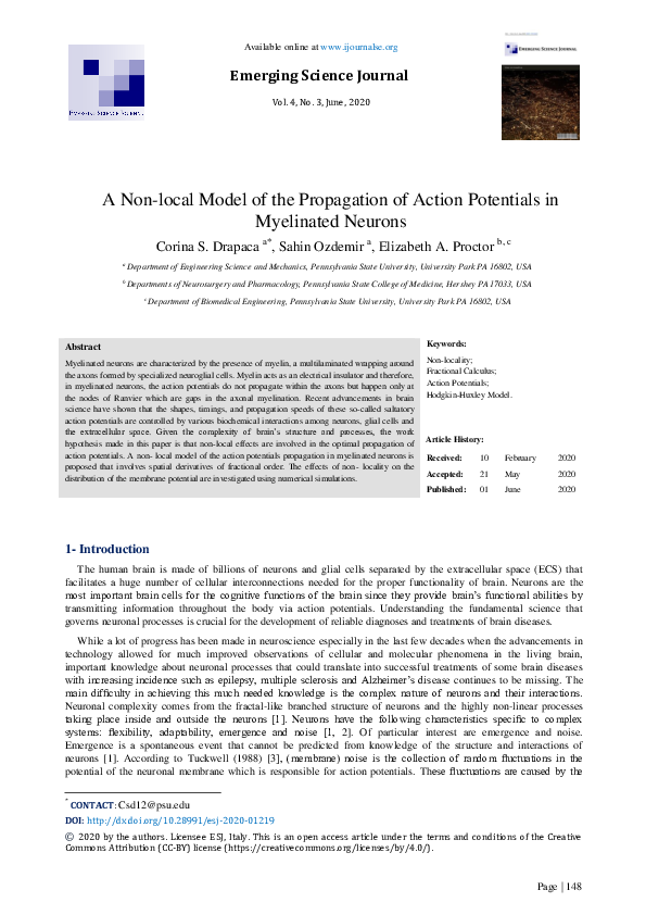 (PDF) A Non-local Model of the Propagation of Action Potentials in ...