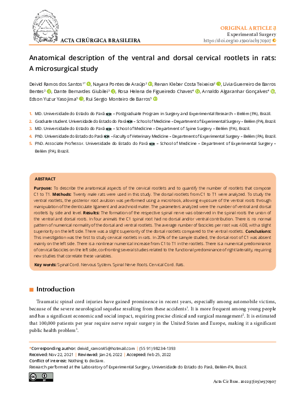 (PDF) Anatomical description of the ventral and dorsal cervical ...