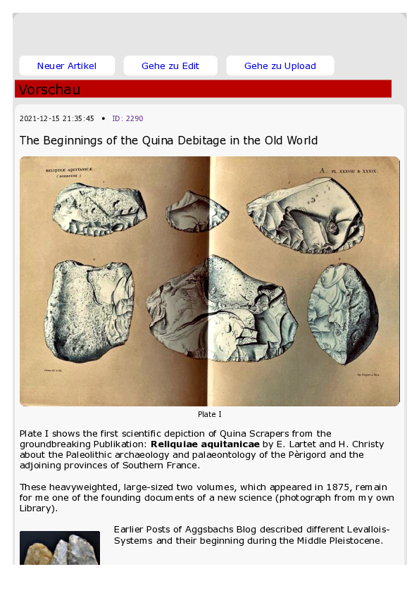 (PDF) The Beginnings of the Quina Debitage in the Old World