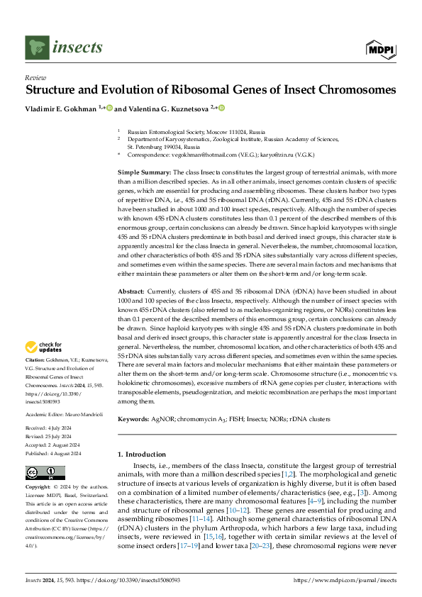 (PDF) Structure and evolution of ribosomal genes of insect chromosomes