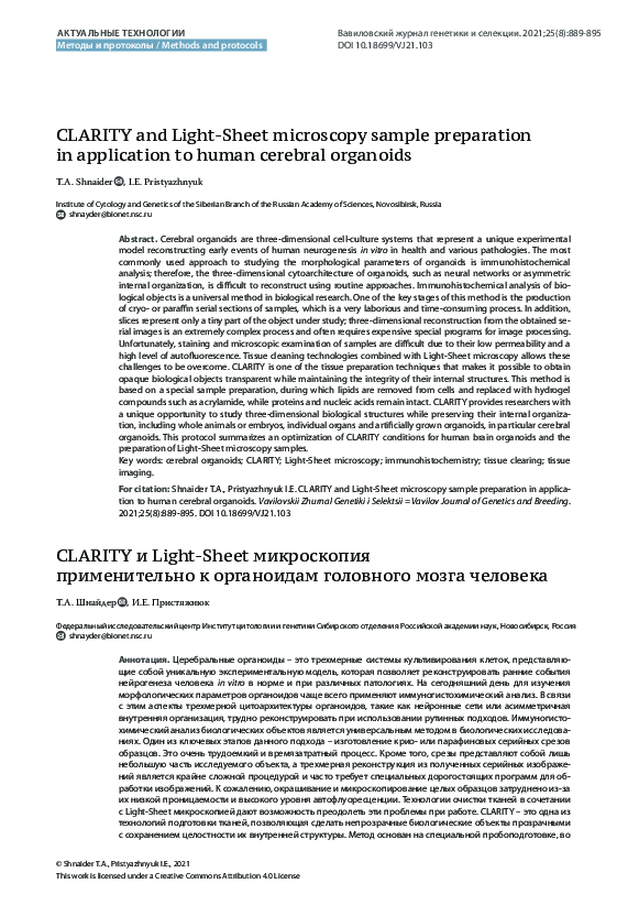 (PDF) CLARITY and Light-Sheet microscopy sample preparation in application to human cerebral ...