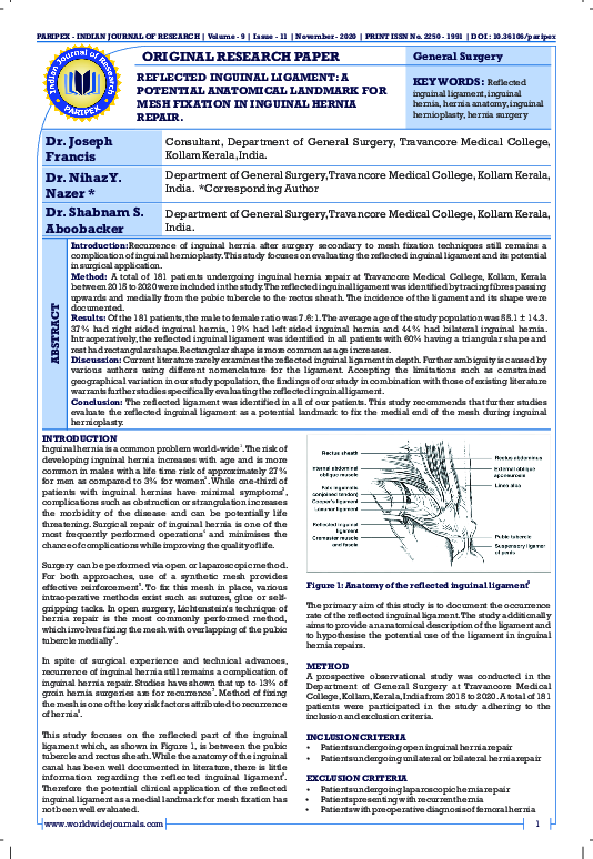 (PDF) Reflected Inguinal Ligament: A Potential Anatomical Landmark for ...