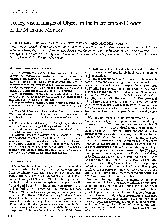 (PDF) Coding visual images of objects in the inferotemporal cortex of the macaque monkey
