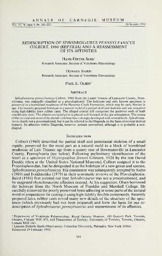 (PDF) Redescription of Sphodrosaurus pennsylvanicus Colbert, 1960 ...