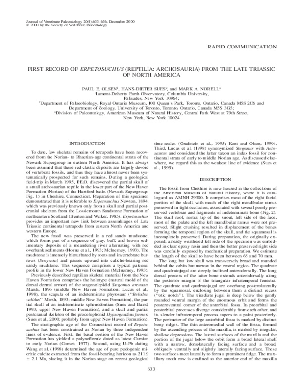 (PDF) First record of Erpetosuchus (Reptilia: Archosauria) from the ...