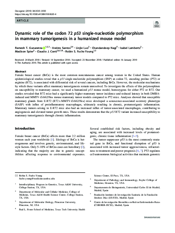 (PDF) Dynamic role of the codon 72 p53 single-nucleotide polymorphism ...