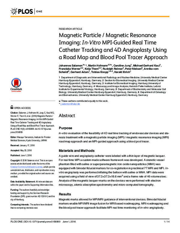 (PDF) Magnetic Particle / Magnetic Resonance Imaging: In-Vitro MPI ...