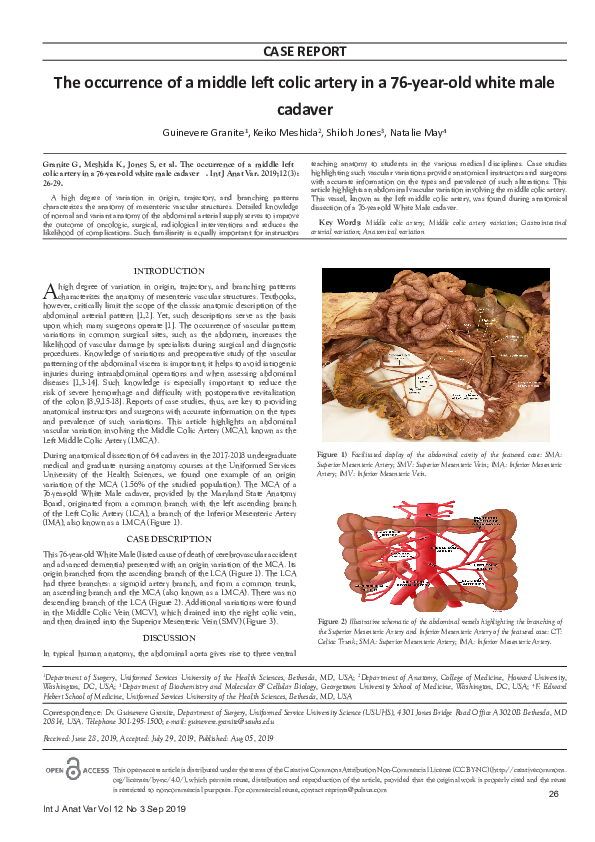 (PDF) The occurrence of a middle left colic artery in a 76-year-old ...