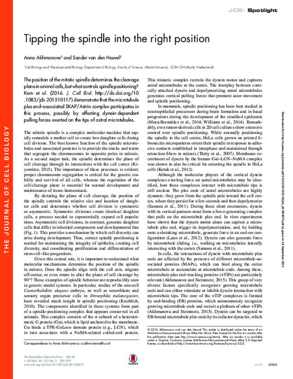 (PDF) Tipping the spindle into the right position