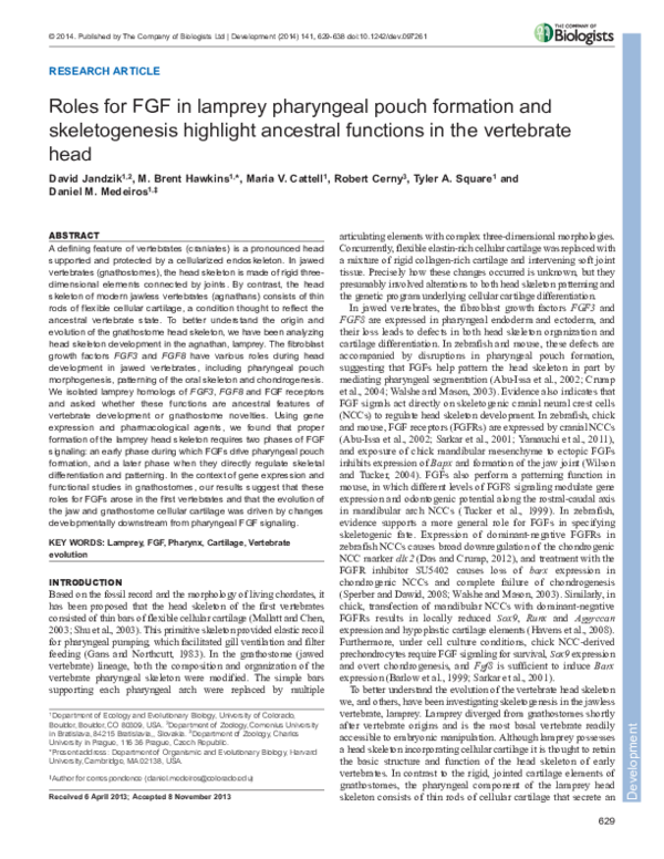 (PDF) Roles for FGF in lamprey pharyngeal pouch formation and ...