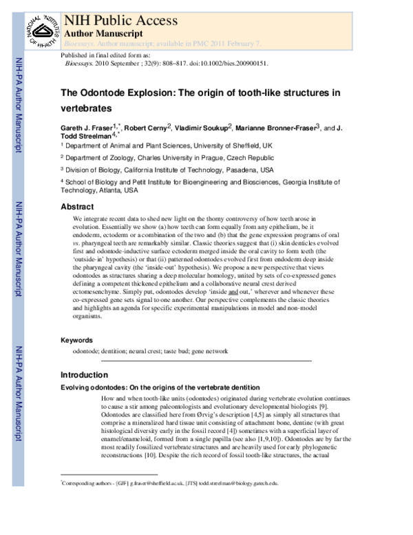(PDF) The odontode explosion: The origin of tooth‐like structures in ...