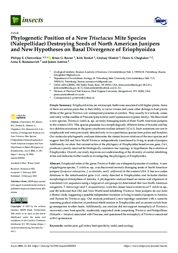 (PDF) Phylogenetic Position of a New Trisetacus Mite Species (Nalepellidae) Destroying Seeds of ...