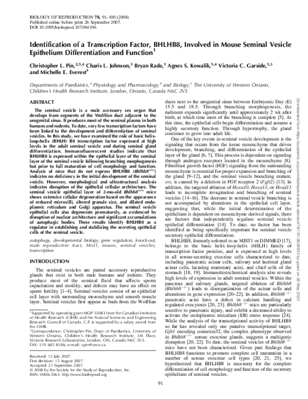 (PDF) Identification of a Transcription Factor, BHLHB8, Involved in ...