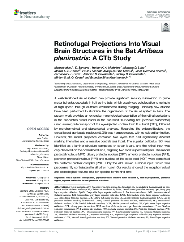 (PDF) {"__content__"=>"Retinofugal Projections Into Visual Brain ...