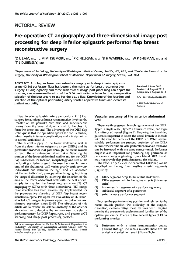 (PDF) Pre-operative CT angiography and three-dimensional image post ...