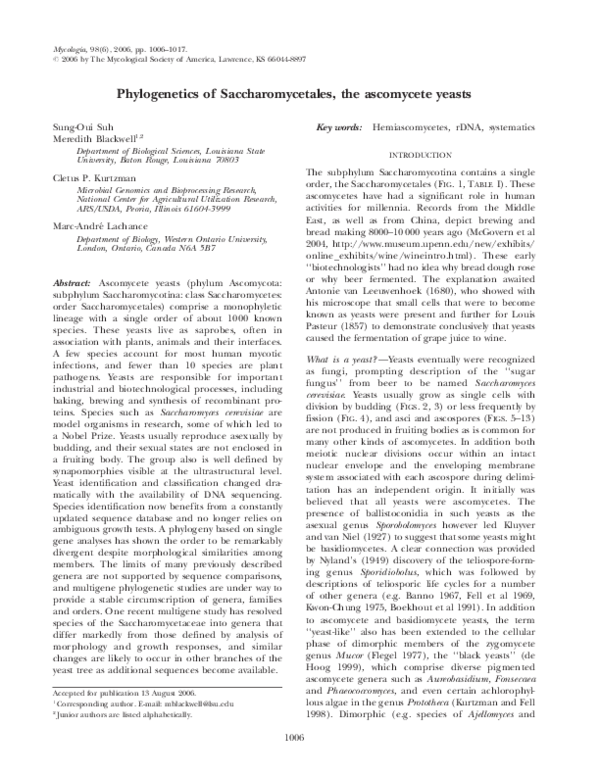 (PDF) Phylogenetics of Saccharomycetales, the ascomycete yeasts