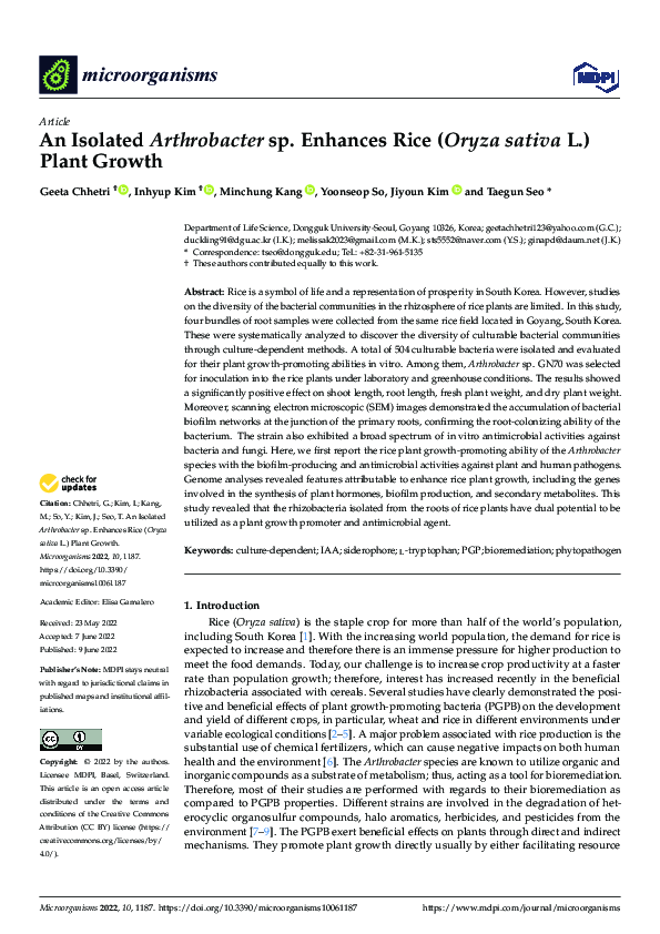 (PDF) An Isolated Arthrobacter sp. Enhances Rice (Oryza sativa L ...