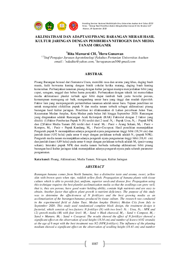 (PDF) Aklimatisasi Dan Adaptasi Pisang Barangan Merah Hasil Kultur ...